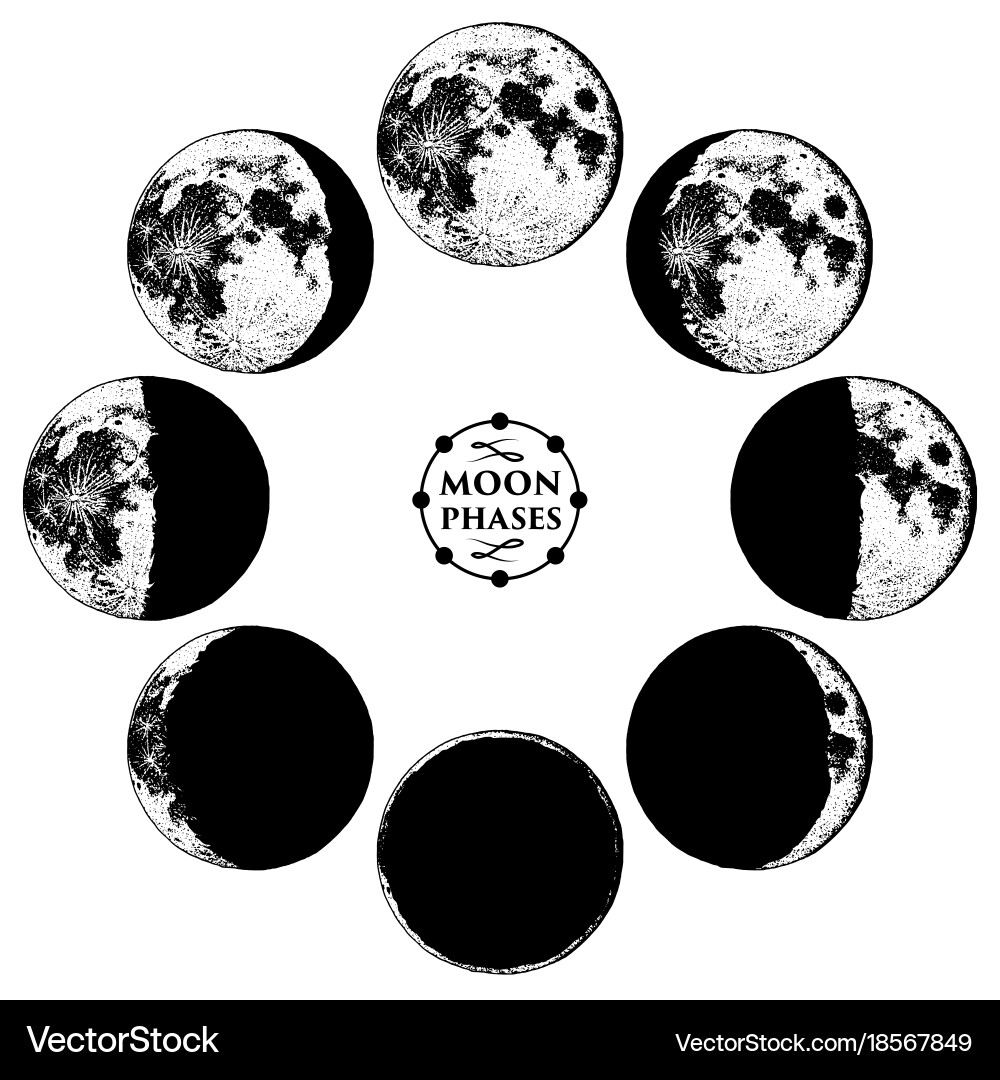 Moon phases planets in solar system astrology Vector Image
