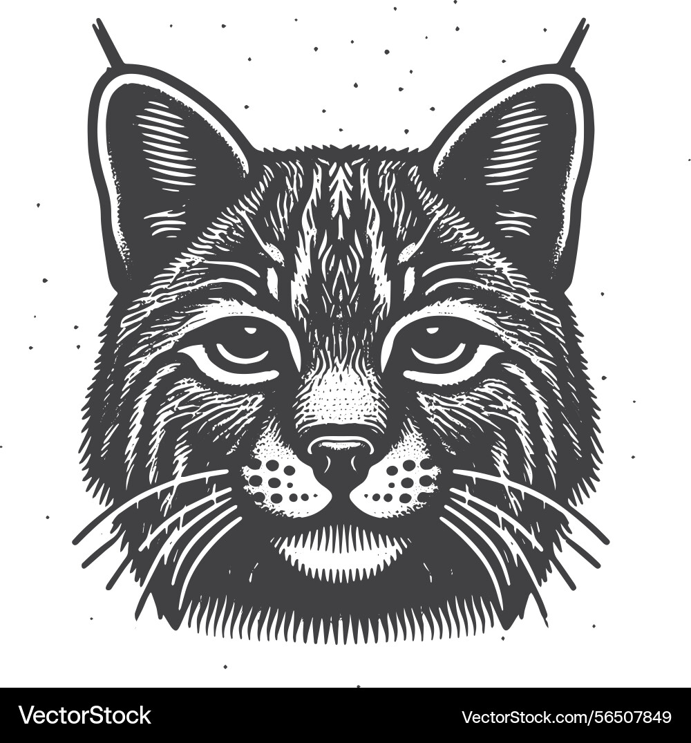 Simple bobcat head front view icon design Vector Image