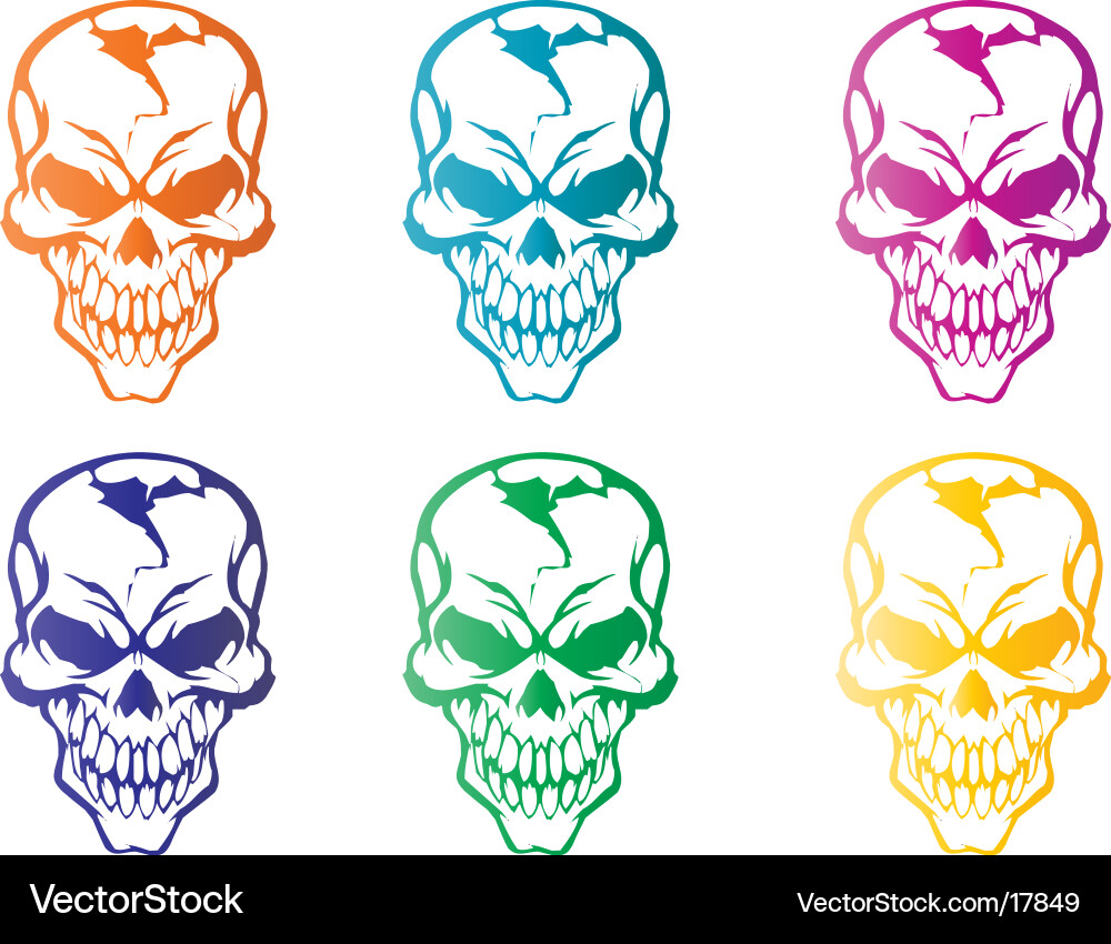 Vibrant Skull Collection Royalty Free Vector Image