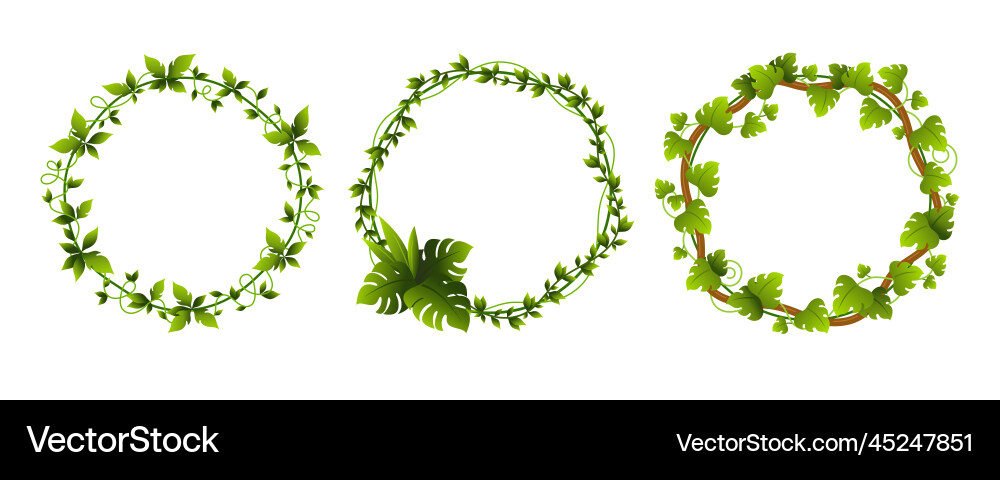Creepers circle frame climbing greenery plant Vector Image