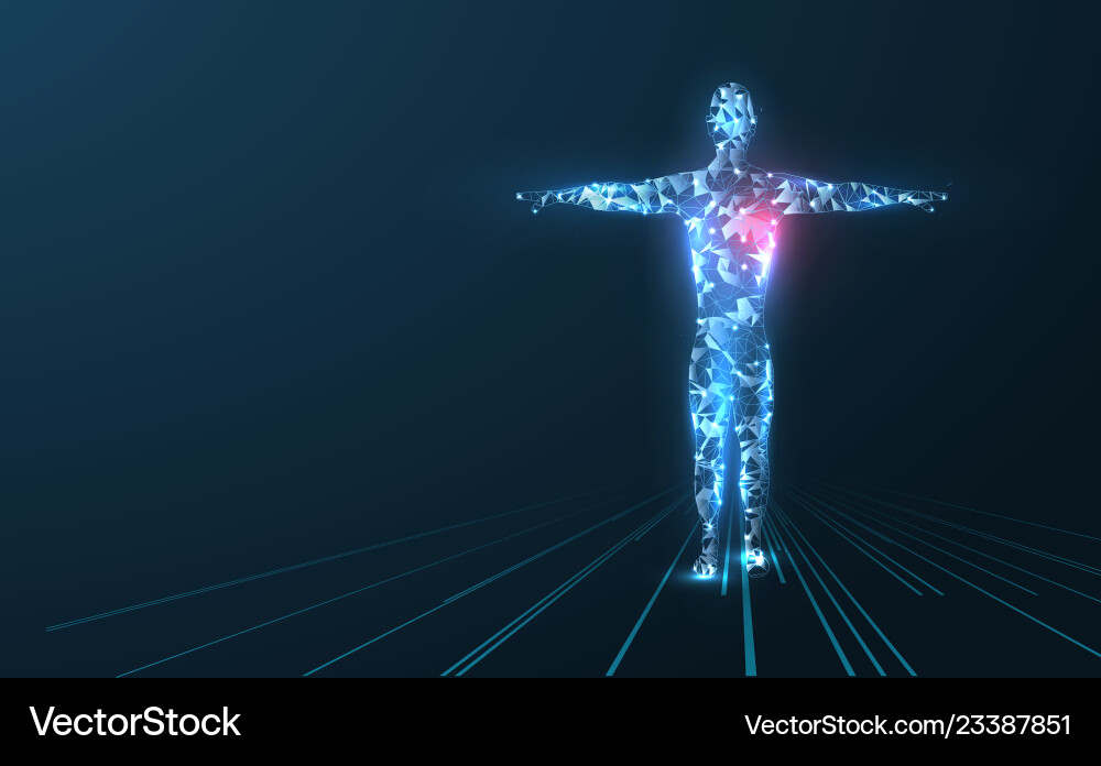 Human body low poly wireframe Royalty Free Vector Image