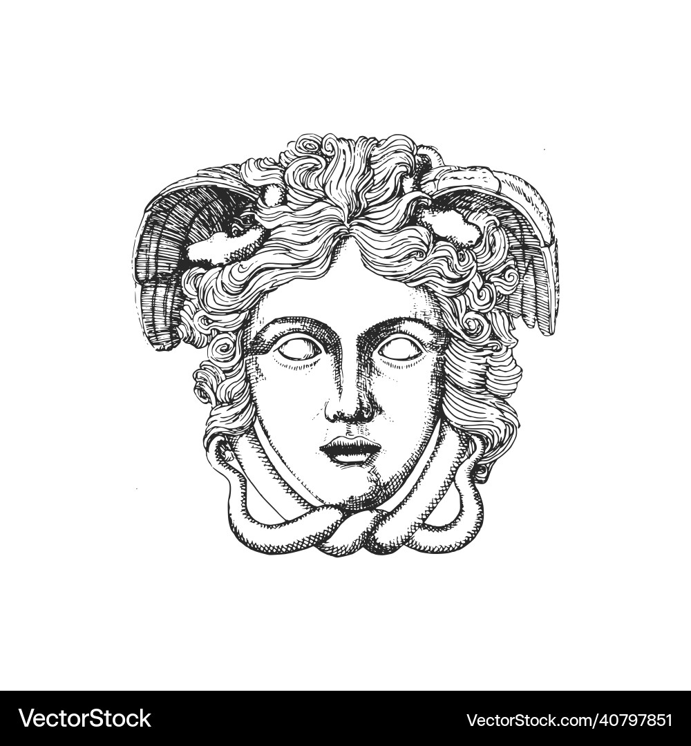 Medusa in gorgo head drawing Royalty Free Vector Image