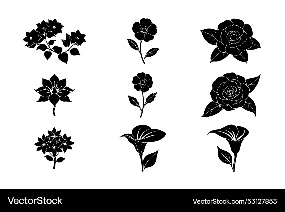 9-flower bundle set Royalty Free Vector Image - VectorStock