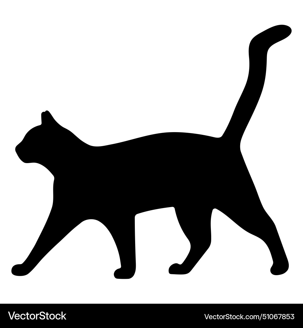Cat shadow single 35 Royalty Free Vector Image