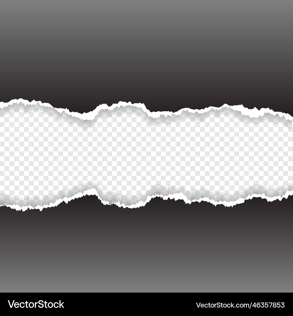 Torn paper background Royalty Free Vector Image