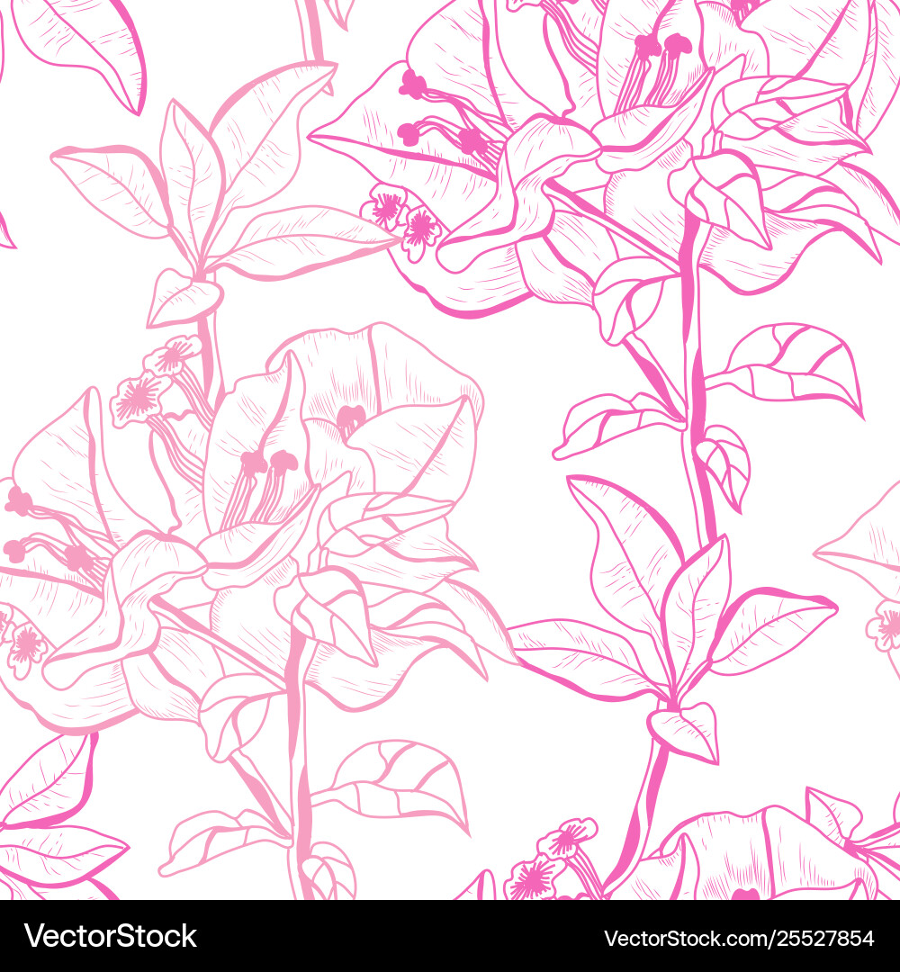Bougainvillea Seamless Floral Pattern Royalty Free Vector
