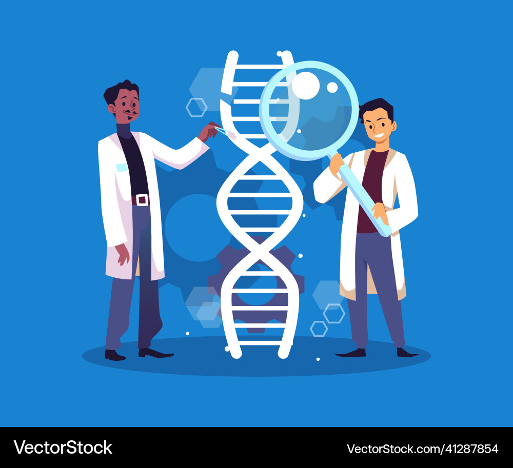 Male doctors or scientists working on dna Vector Image
