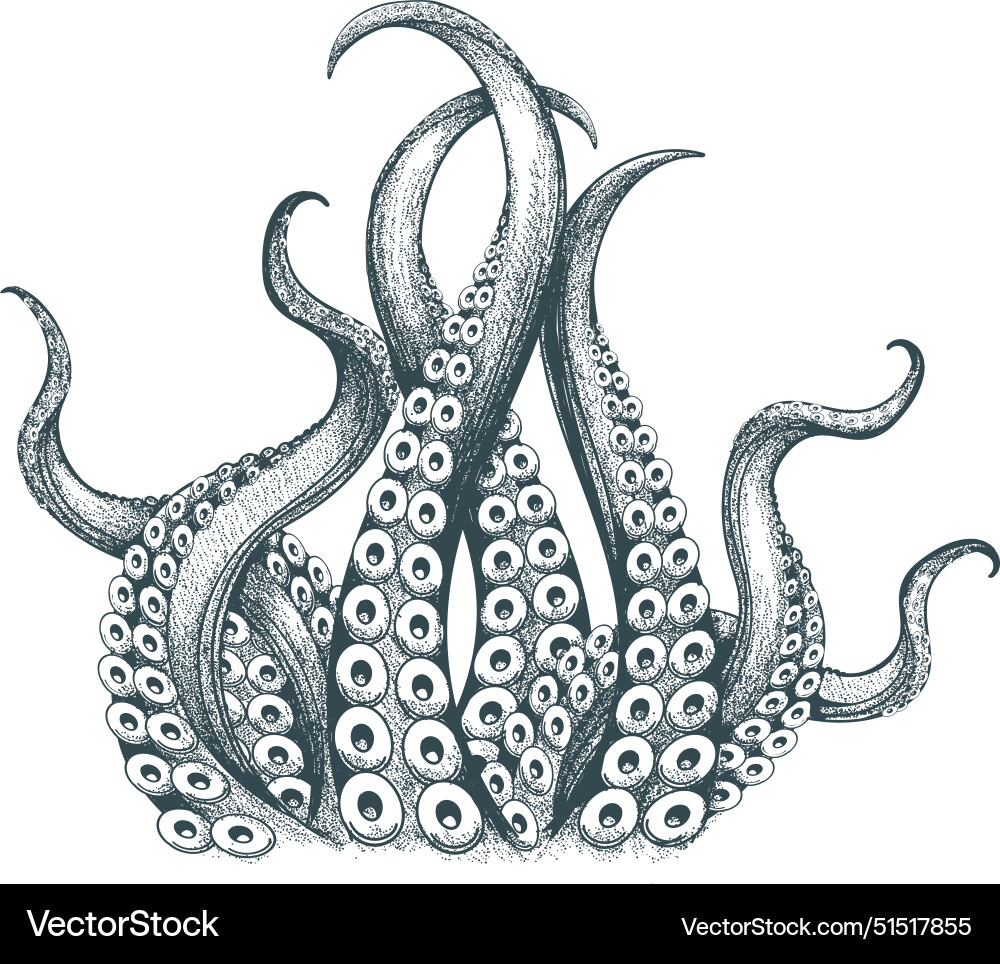 Hand drawn engraving octopus tentacles Royalty Free Vector
