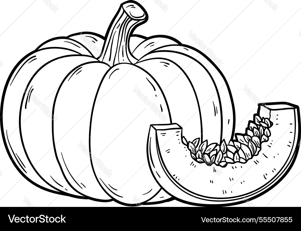 Pumpkin outline Royalty Free Vector Image - VectorStock