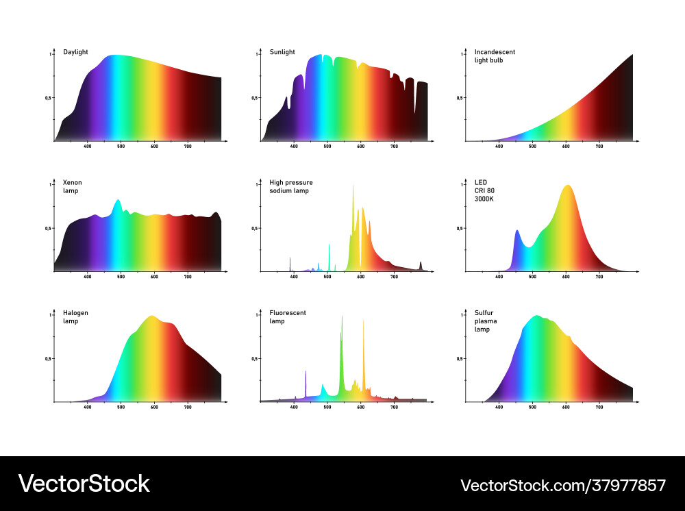 Various light sources intensity spectrum Vector Image