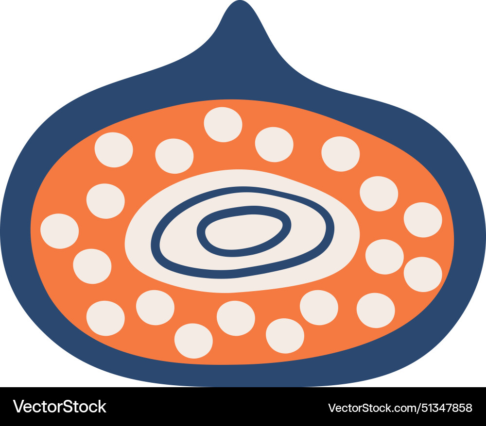 Abstract fig fruit Royalty Free Vector Image - VectorStock