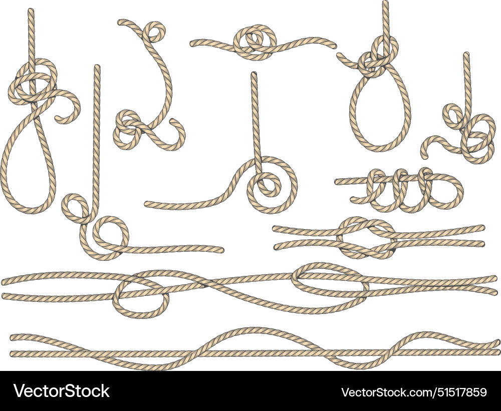Engraving rope design elements Royalty Free Vector Image
