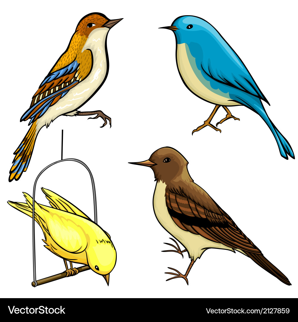 Pack of four cartoon birds Royalty Free Vector Image