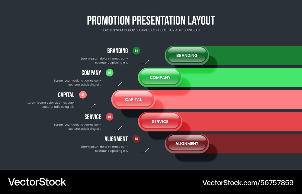 Visual insight five step diagram frame layout Vector Image