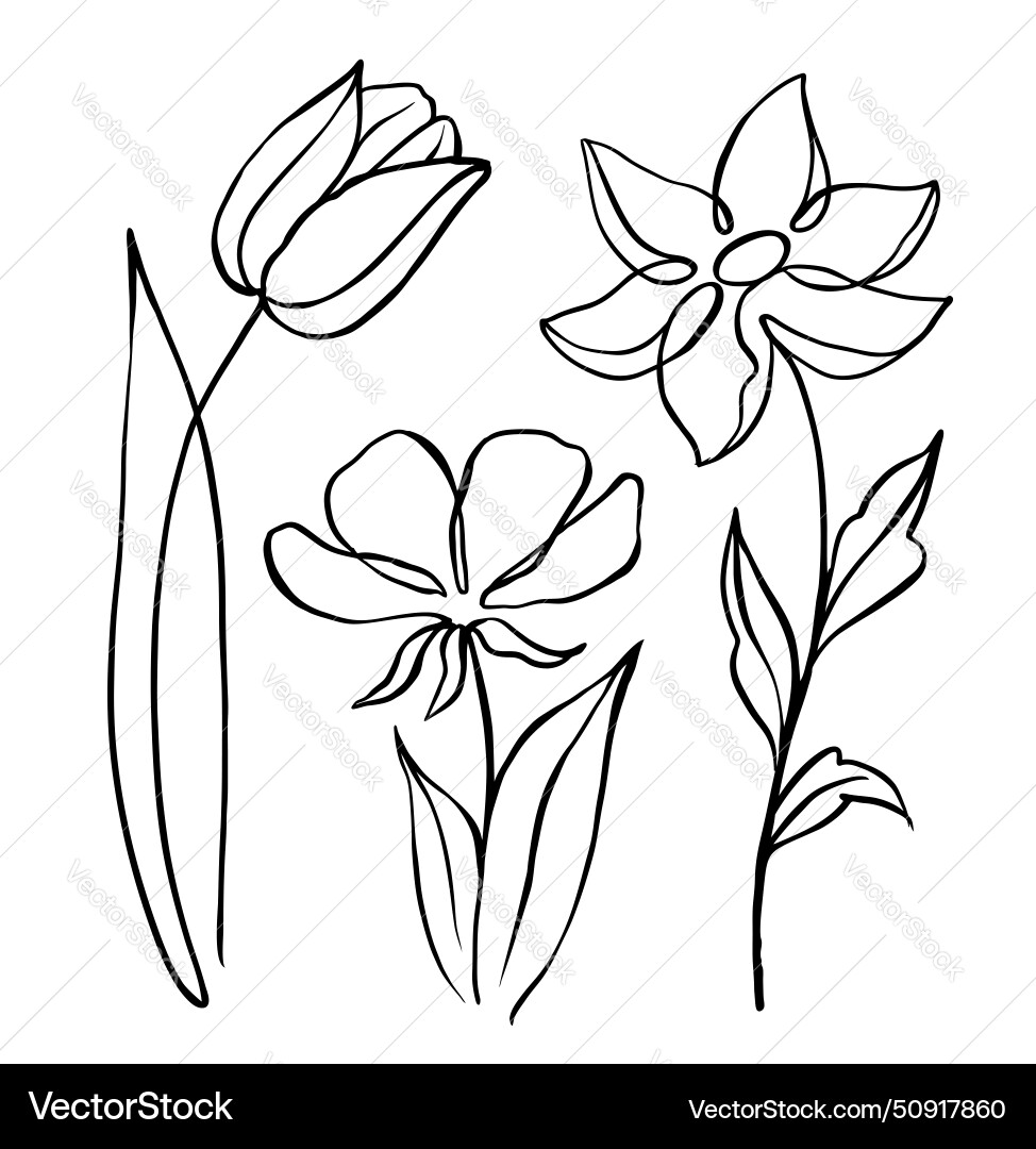 Abstract flowers outline botanical hand drawn Vector Image