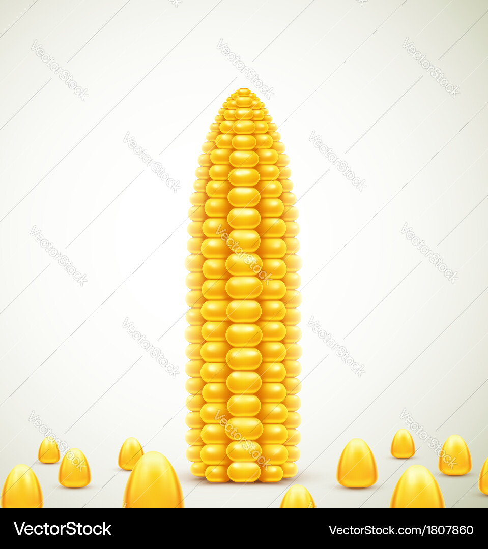 Corn background Royalty Free Vector Image - VectorStock