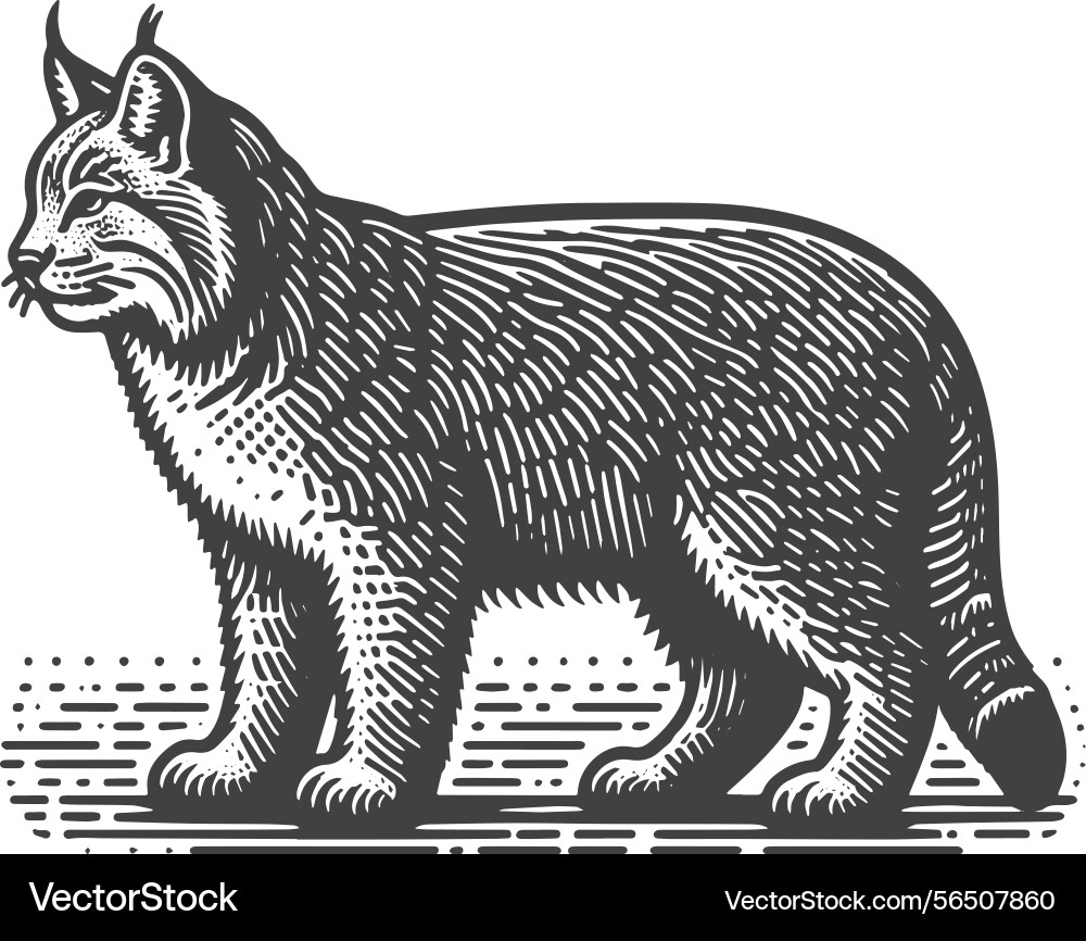 Simple bobcat side view icon design vintage Vector Image
