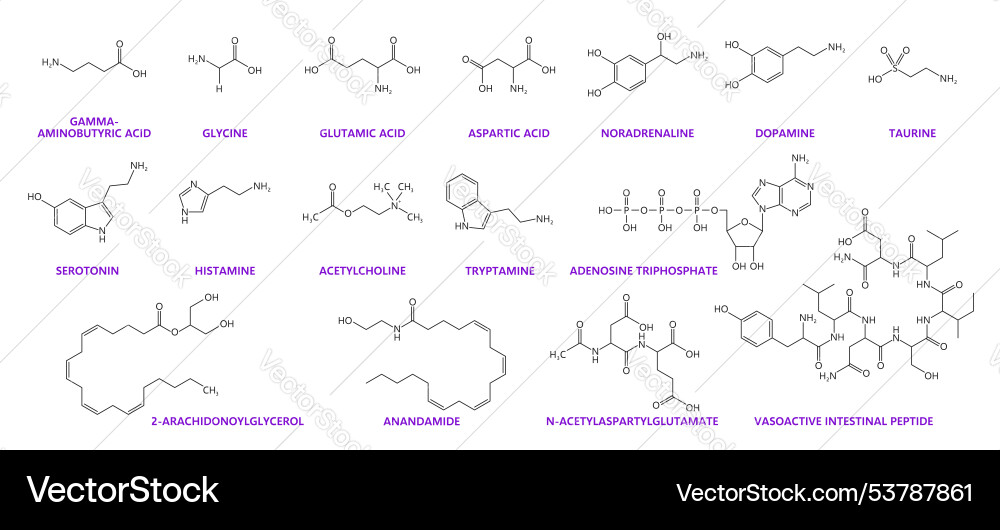 Neurotransmitter Structures & Formulas Vector Image