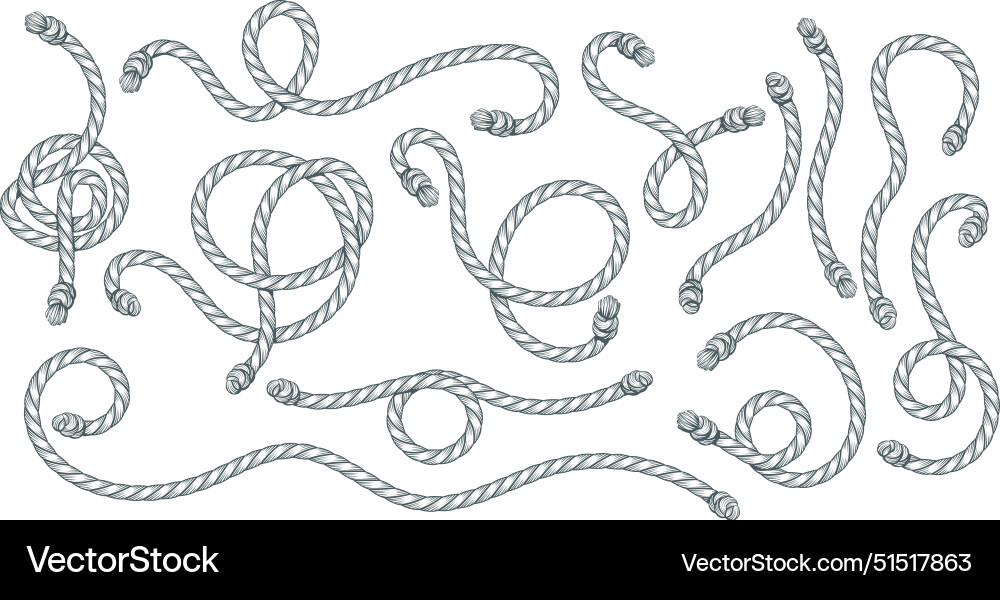 Nautical ropes set Royalty Free Vector Image - VectorStock