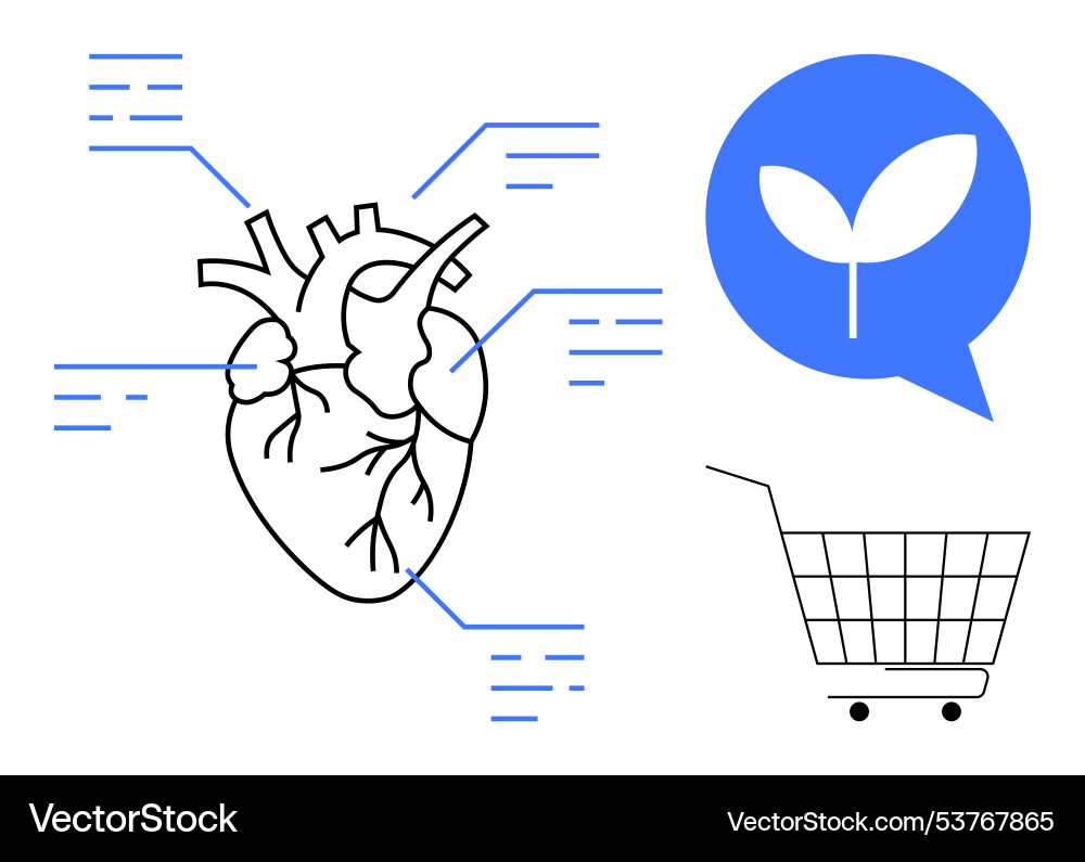 Anatomical heart diagram with eco symbol Vector Image