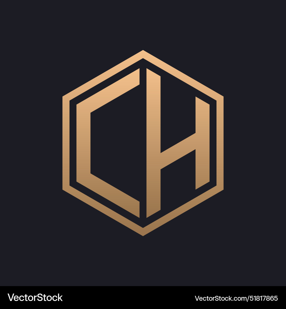 Elegant hexagon letter ch logo design initial Vector Image