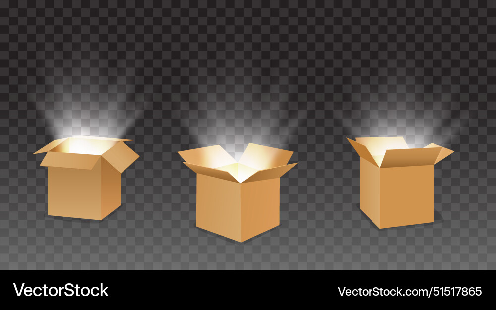 Open cardboard boxes with rays Royalty Free Vector Image