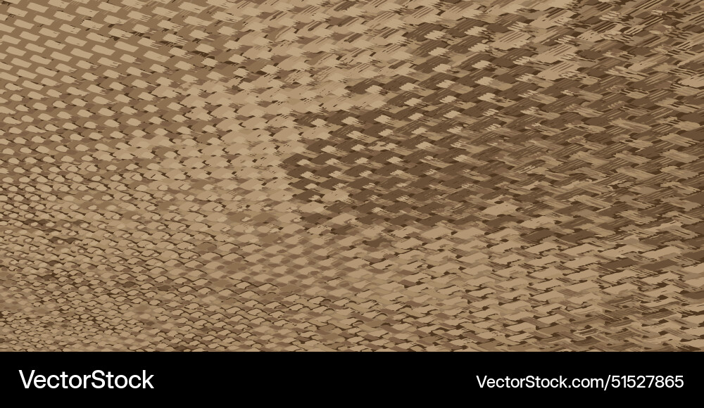 Wicker abstract surface texture with interwoven Vector Image