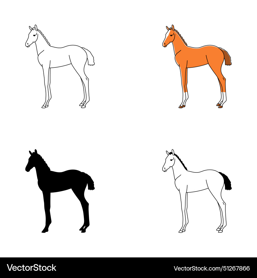 Character collection foals Royalty Free Vector Image