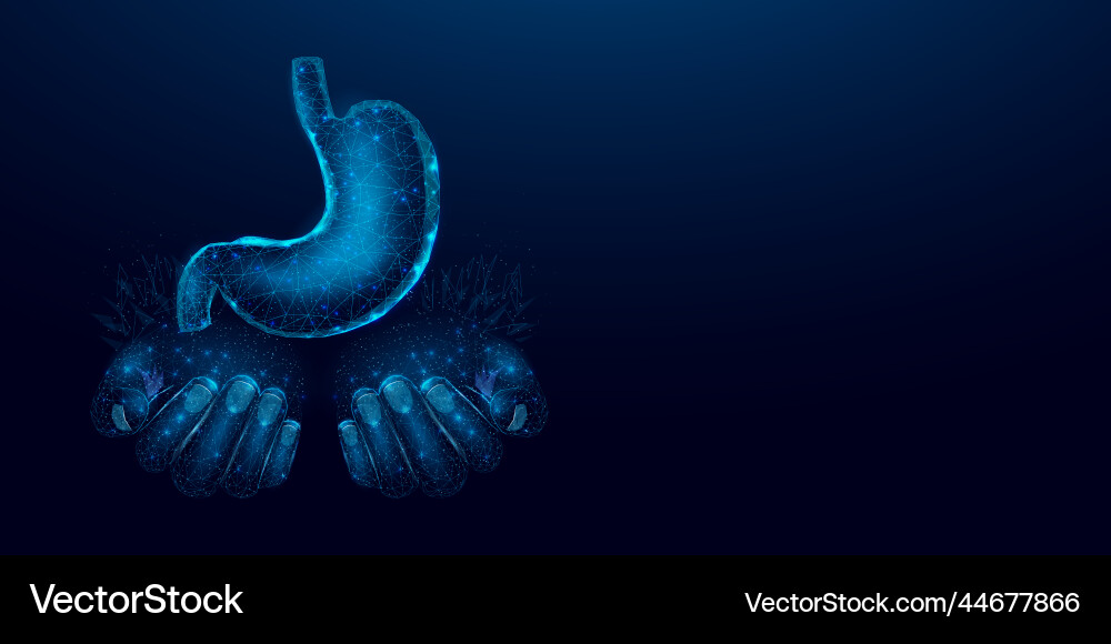 Two human hands are holds stomach concept Vector Image