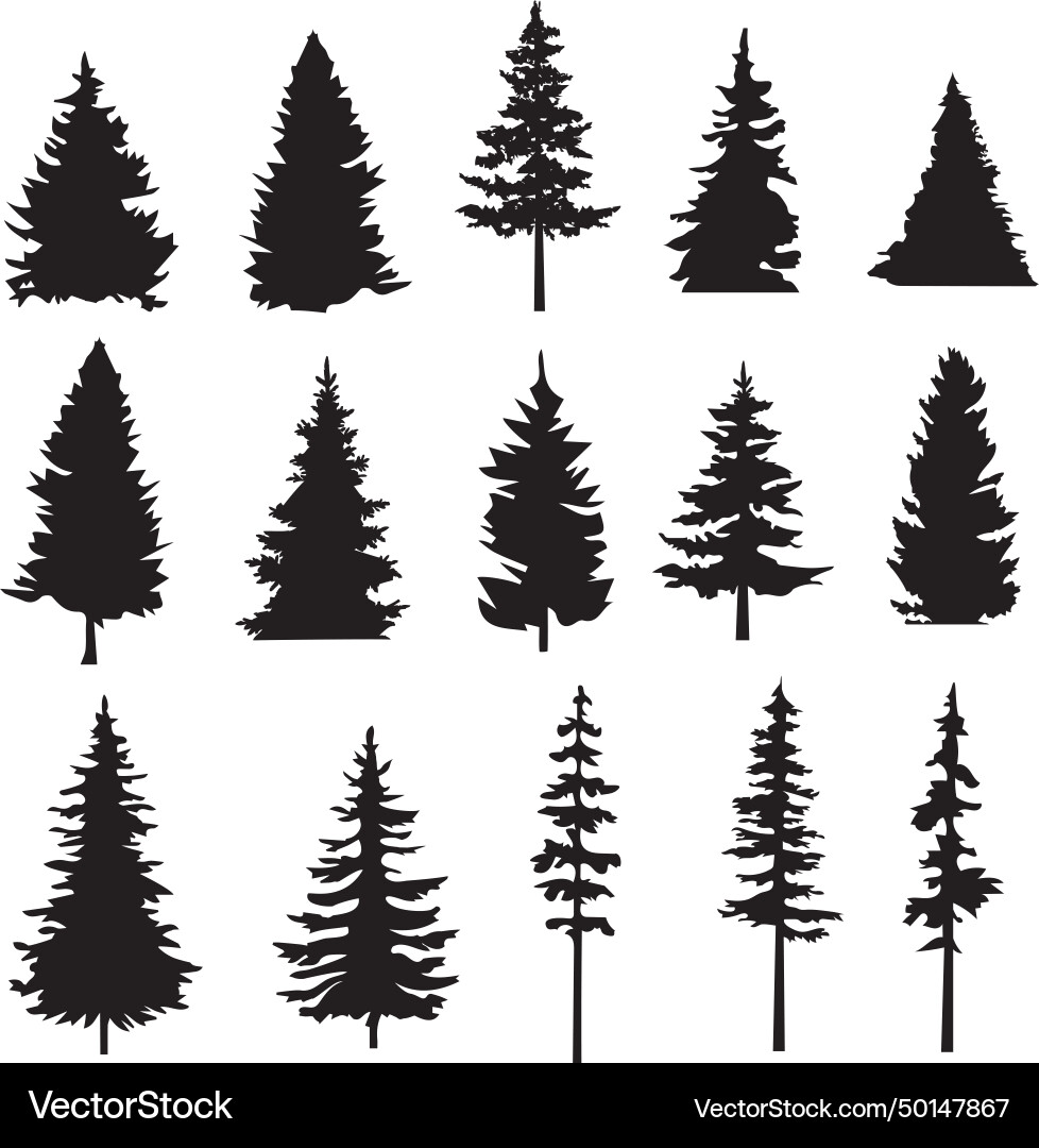 Trees bundle Royalty Free Vector Image - VectorStock