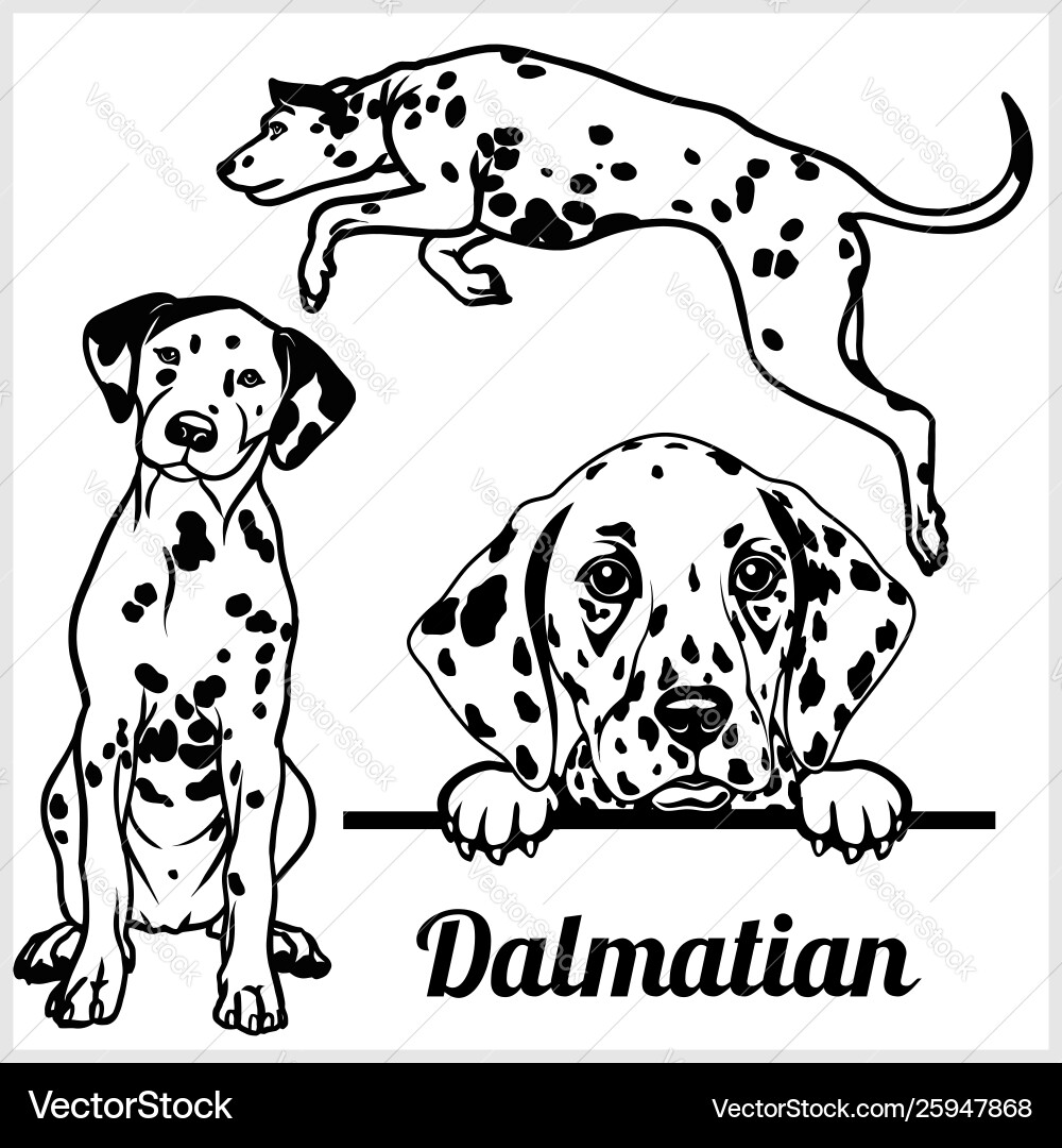 Dalmatian - for t-shirt logo Royalty Free Vector Image