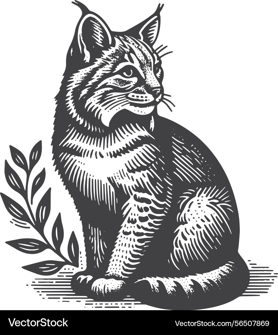 Simple bobcat sitting icon design vintage retro Vector Image