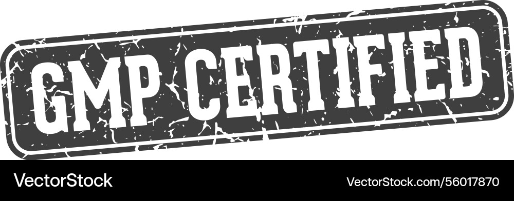Gmp certified rectangular sign stamp Royalty Free Vector