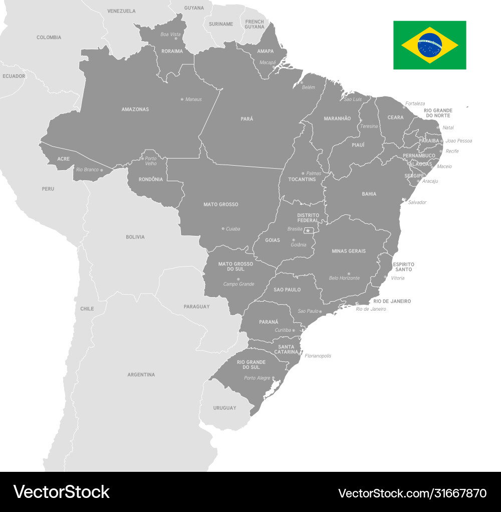 Grey political map brazil Royalty Free Vector Image