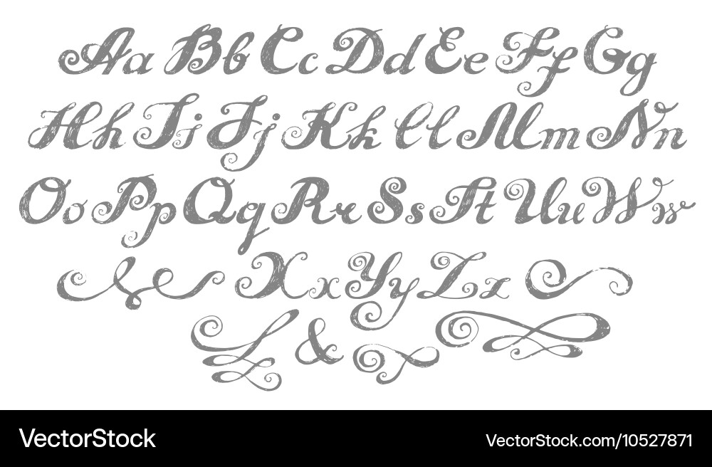 Calligraphy alphabet typeset lettering Royalty Free Vector