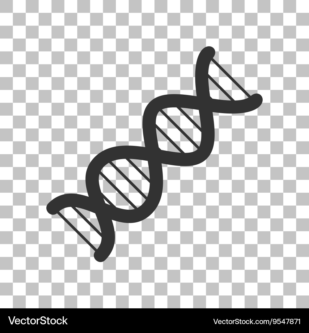 Dna sign dark gray icon on transparent Royalty Free Vector