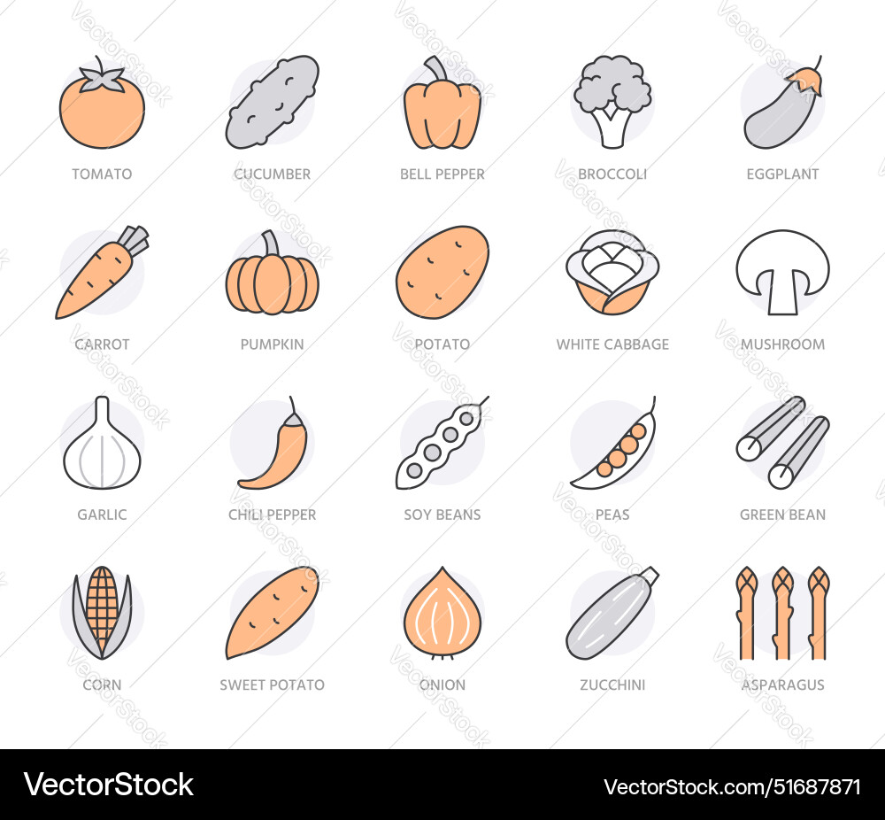 Vegetables line icon set pumpkin cucumber Vector Image