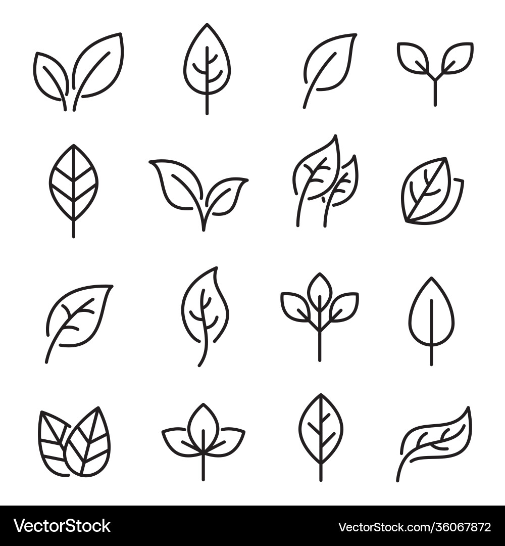 Leaf line art icon tropical natural decoration Vector Image