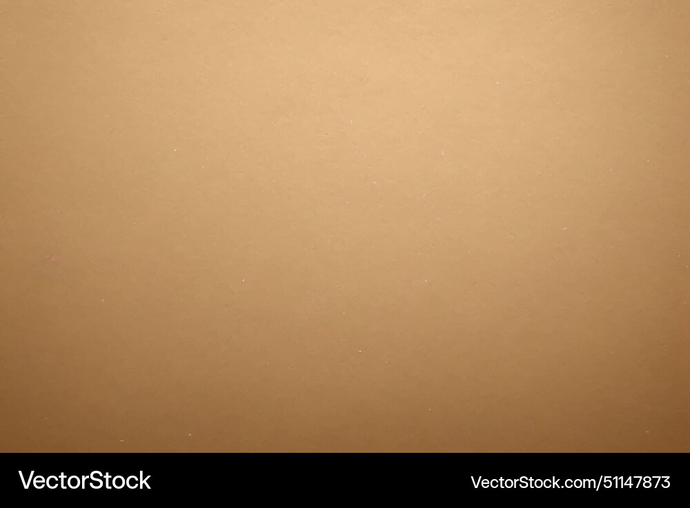 Vintage texture of old paper Royalty Free Vector Image