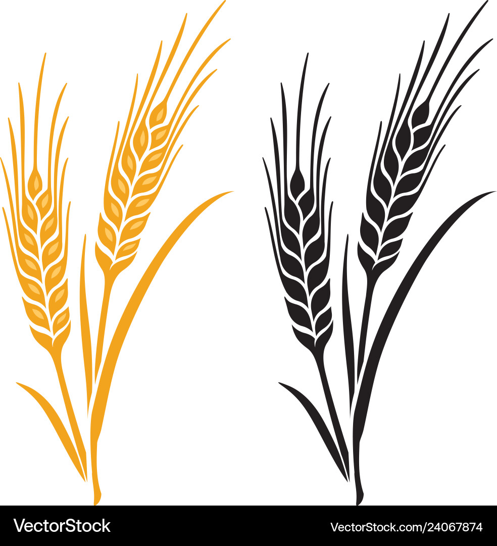 Wheat Vector Images (over 130,000)