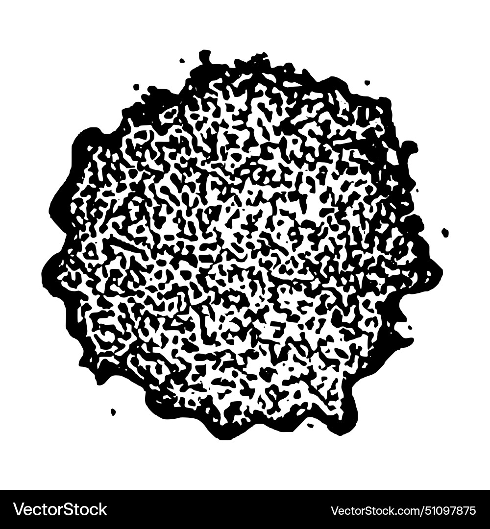 Abstract black stamp texture Royalty Free Vector Image