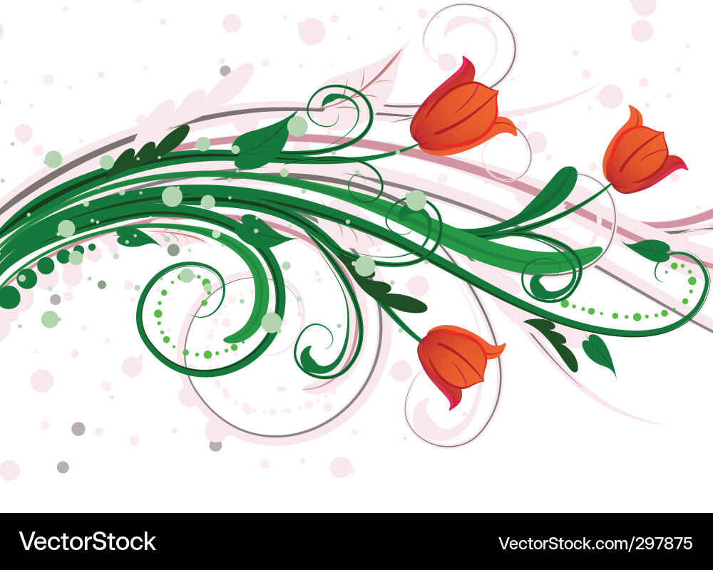 Tulips Royalty Free Vector Image - VectorStock