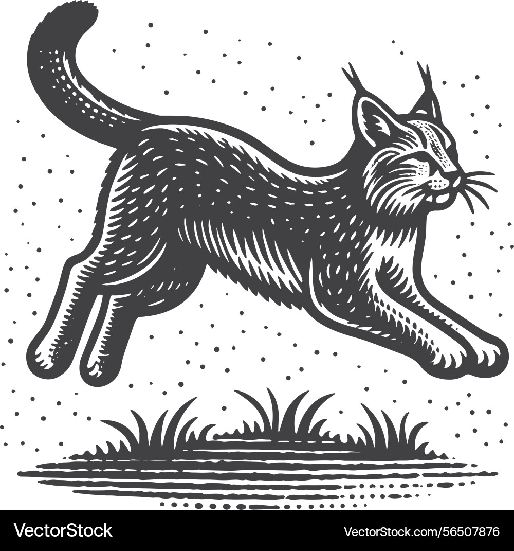 Simple bobcat jumping icon design vintage retro Vector Image
