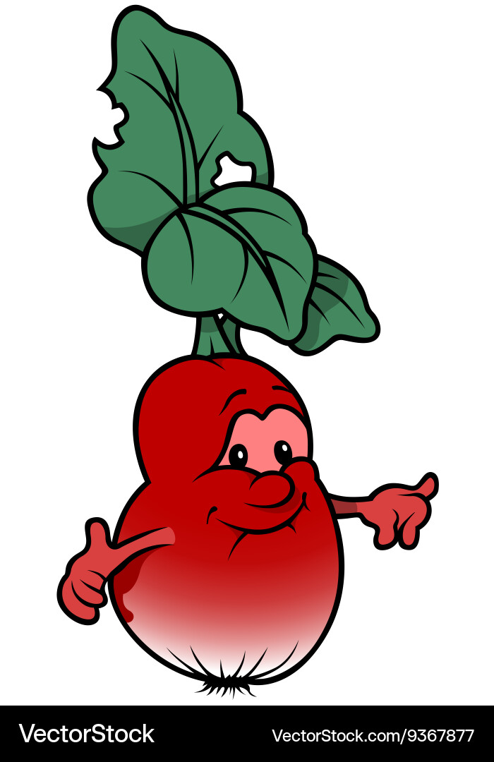 Cartoon radish Royalty Free Vector Image - VectorStock
