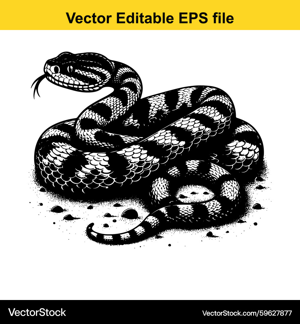 Coiled Rattlesnake - A Threatening Pose Royalty Free Vector