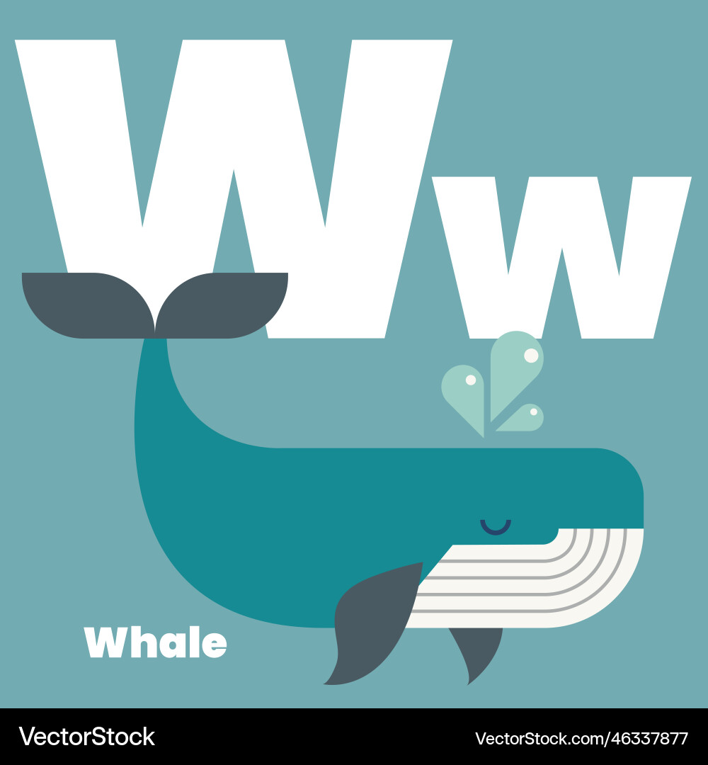 Cute children abc alphabet flashcard words Vector Image