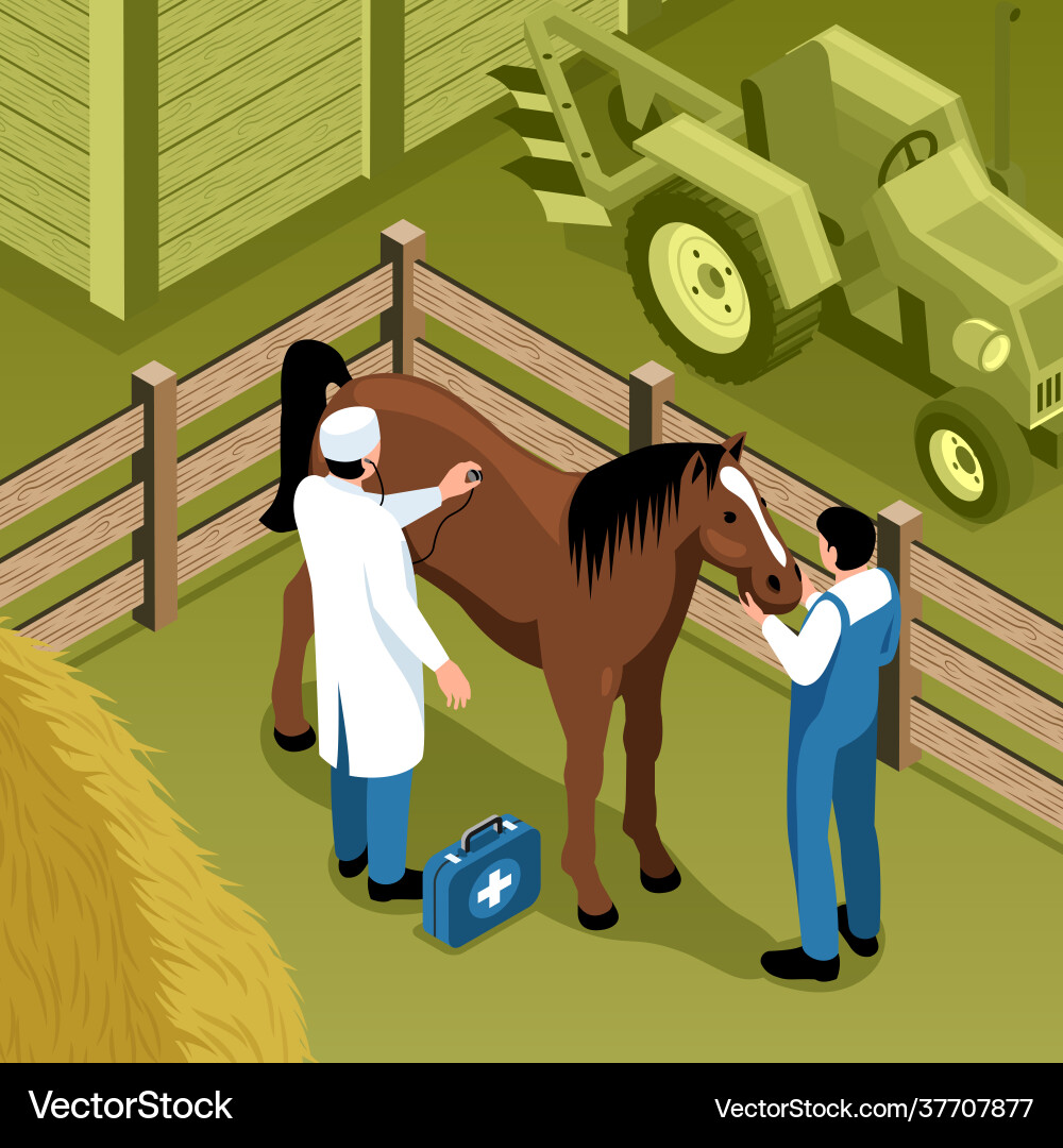 Farm veterinary isometric composition Royalty Free Vector