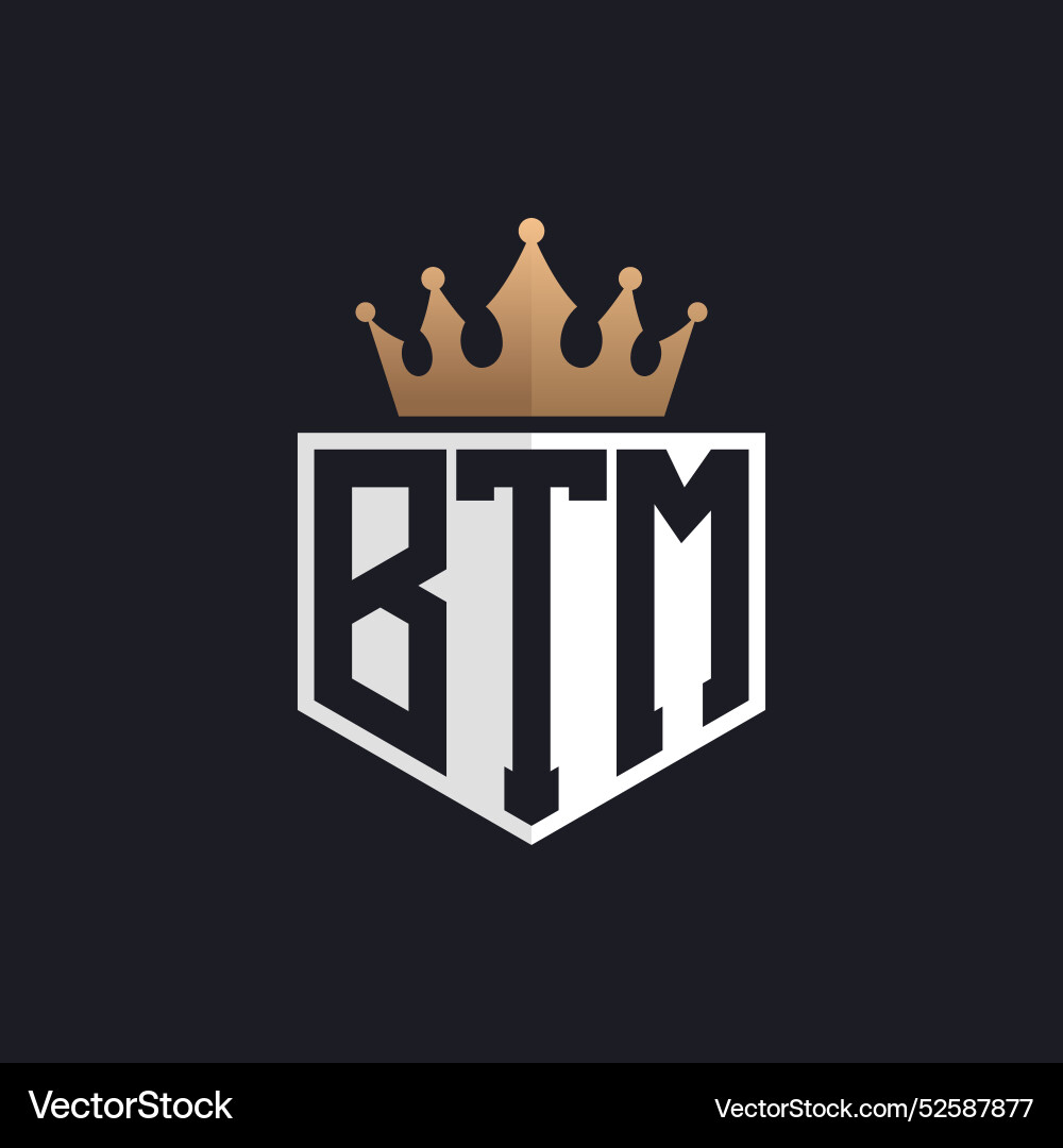Luxury btm logo with crown elegant initials Vector Image