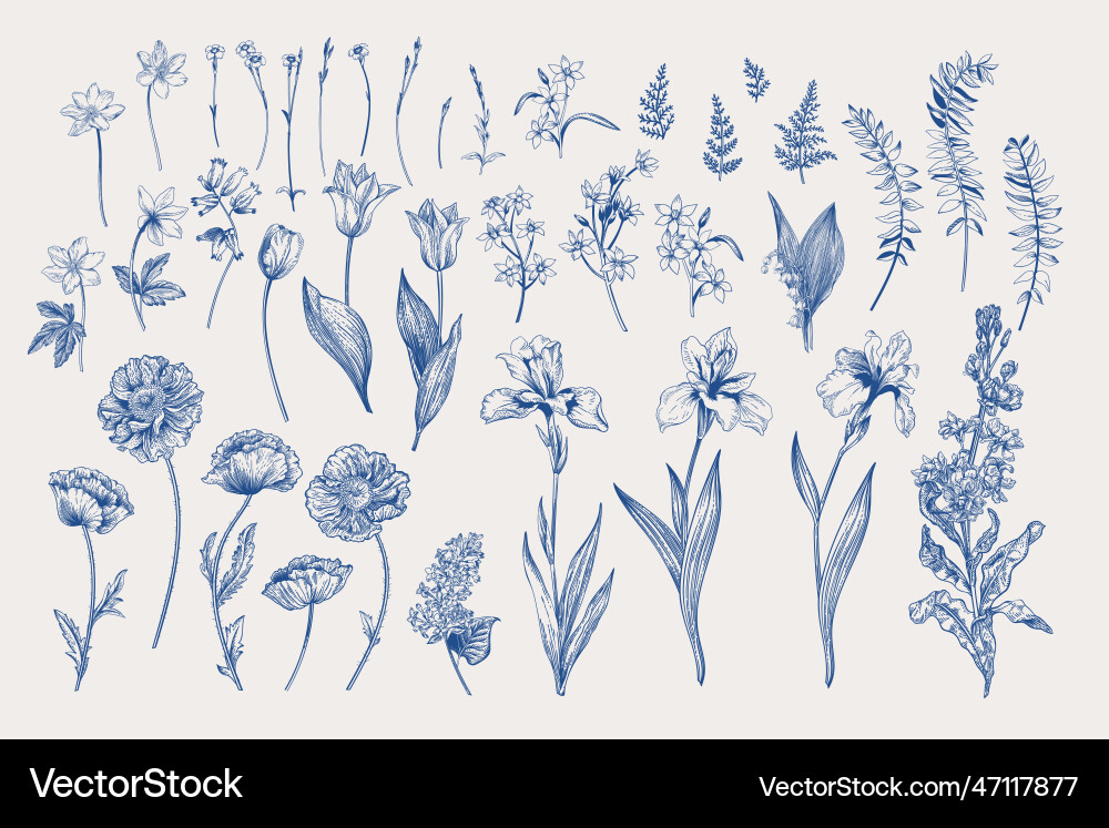 Carnation Line Drawing Vector Images (over 2,900)