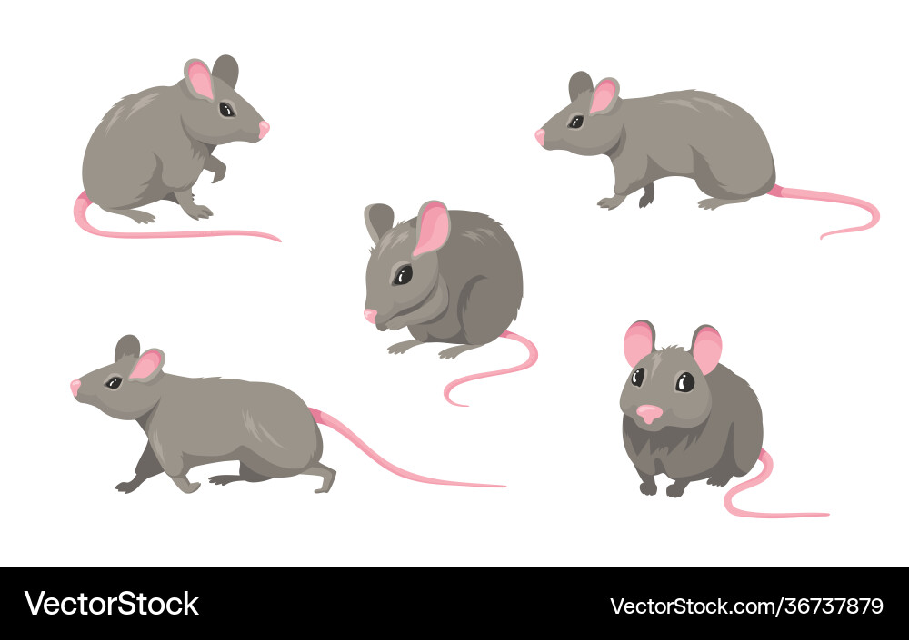 Cartoon Maus Set Lizenzfreies Vektorbild - VectorStock
